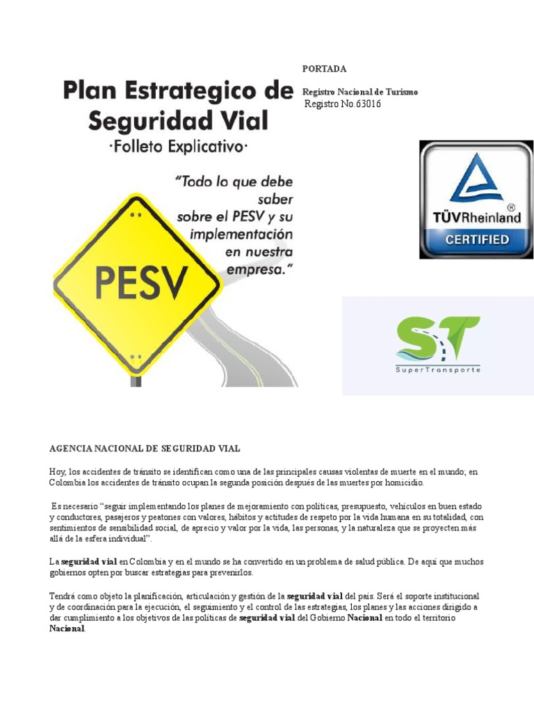 Cartilla PESV-2023 | PDF | Seguridad vial | Valores