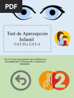 Prueba CAT-YTat Completo | PDF | Adultos | Teoría