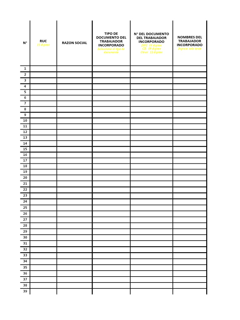 Formato - Registro - 2022 - Sunafil | PDF