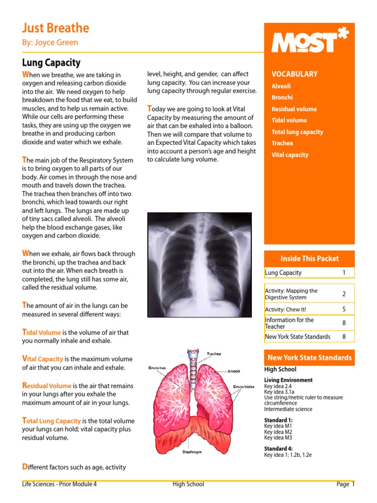 Breathe | PDF | Lung | Breathing