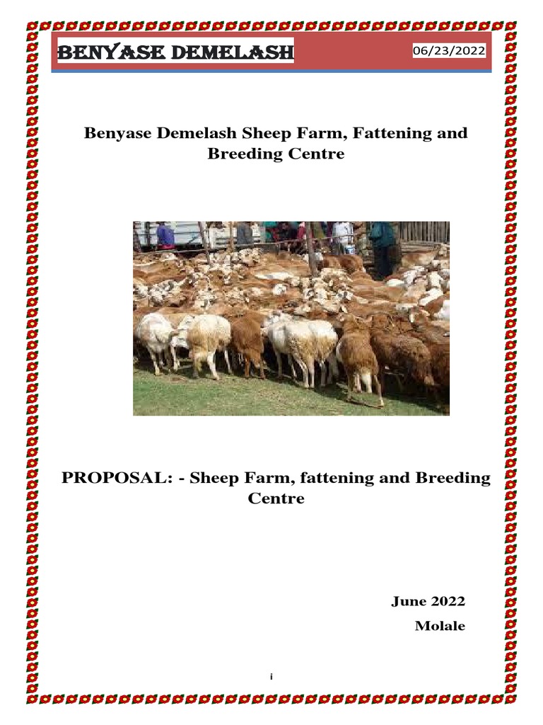 Demelash Document | PDF | Sheep | Agriculture