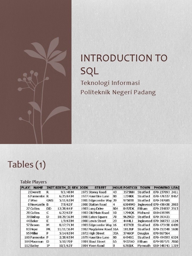Introduction To SQL | PDF | Sql | Information Retrieval