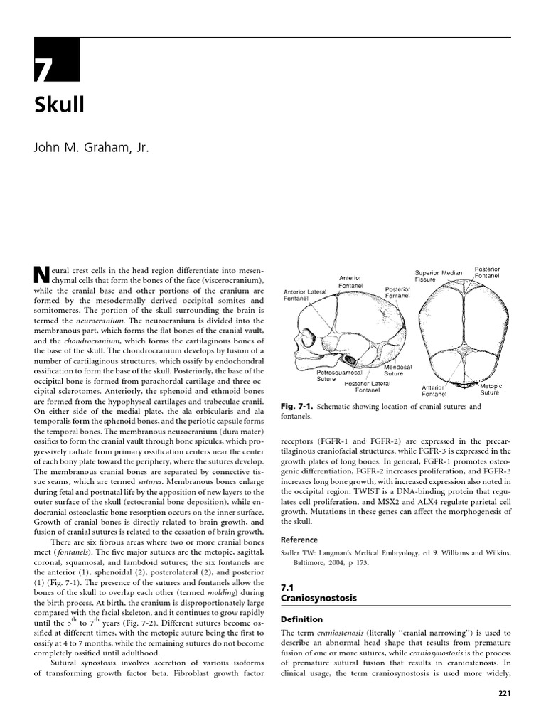 Craniosynostosis and Skull Development | PDF | Skull | Pediatrics