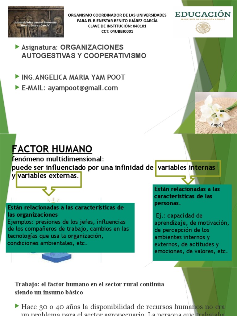 Factor Humano 5C | PDF | Gestión de recursos humanos | Gestión estratégica
