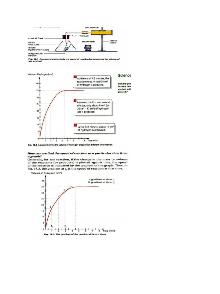 Rate of Reaction Graphs | PDF