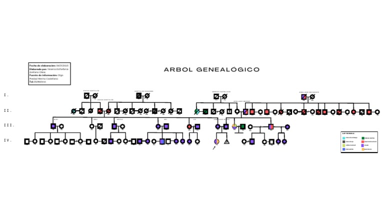 Árbol Genealógico | PDF | Causas de la muerte | Medicina CLINICA