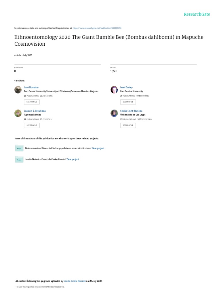 Bombus Dahlbomii Cosmovision Mapuche | PDF | Bumblebee | Chile