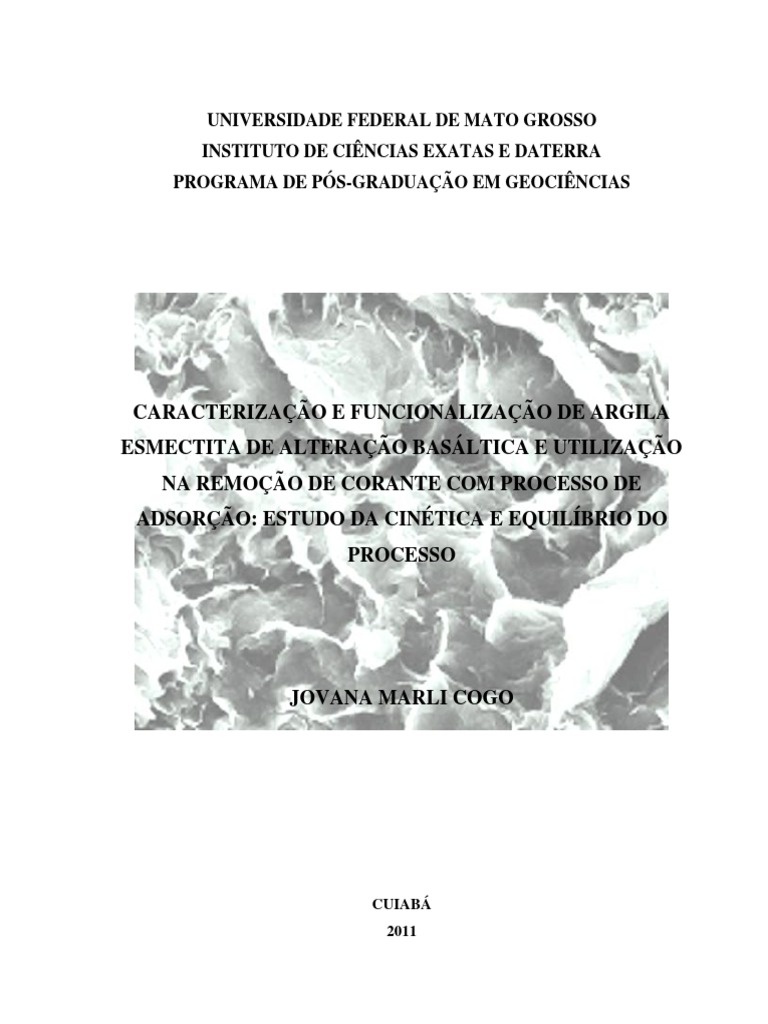 Caracterização e Funcionalização Da Argila Esmectita Na Remoção de ...