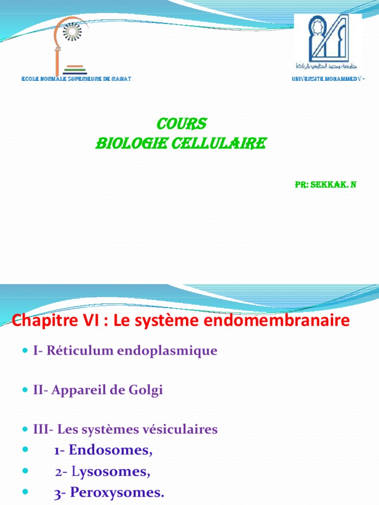 Système endomembranaire en biologie cellulaire | PDF | Lysosome ...