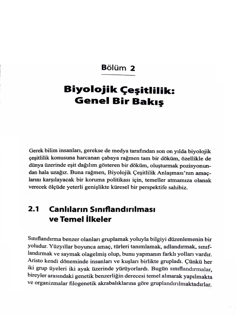 Bolum 2 | PDF