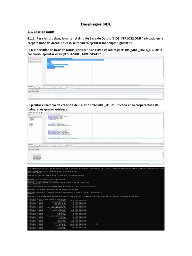 Despliegue del Software SIDE | PDF | Archivo de computadora | Software