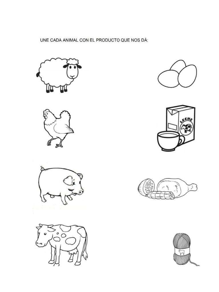 Animales Y Sus Derivados Pdf