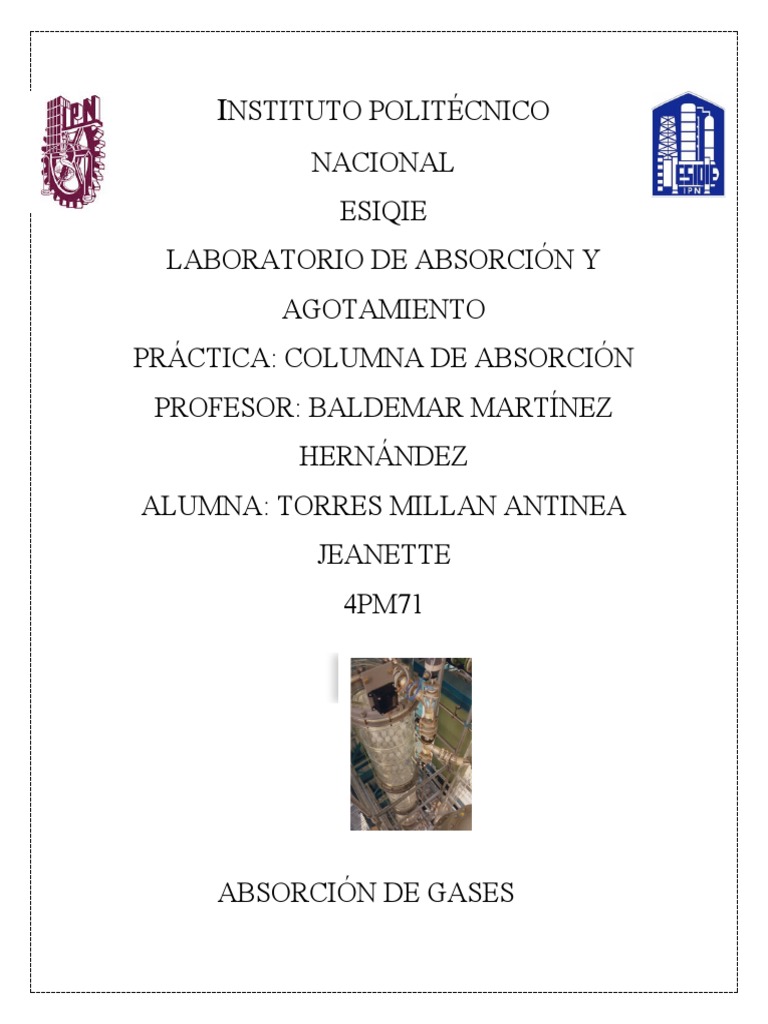 Diseño Mecanico de La Columna de Absorción | PDF | Absorción (Química ...