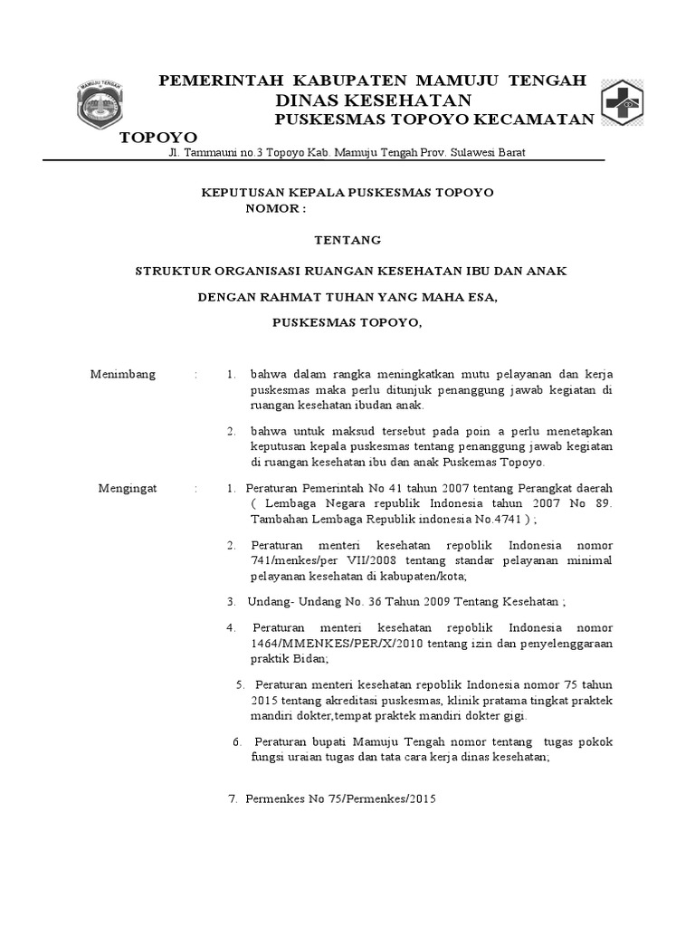 Struktur Organisasi KIA Puskesmas Topoyo | PDF