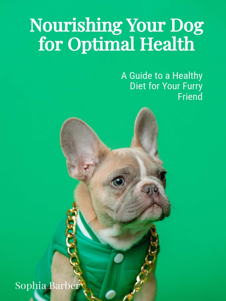 A Guide To A Healthy Diet For Your Furry Friend Nourishing Your Dog For ...