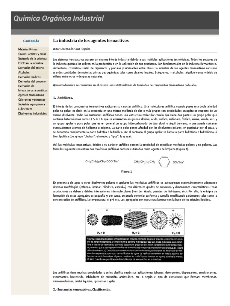 Clasificación y ejemplos de tensoactivos | PDF | Tensioactivo | Detergente