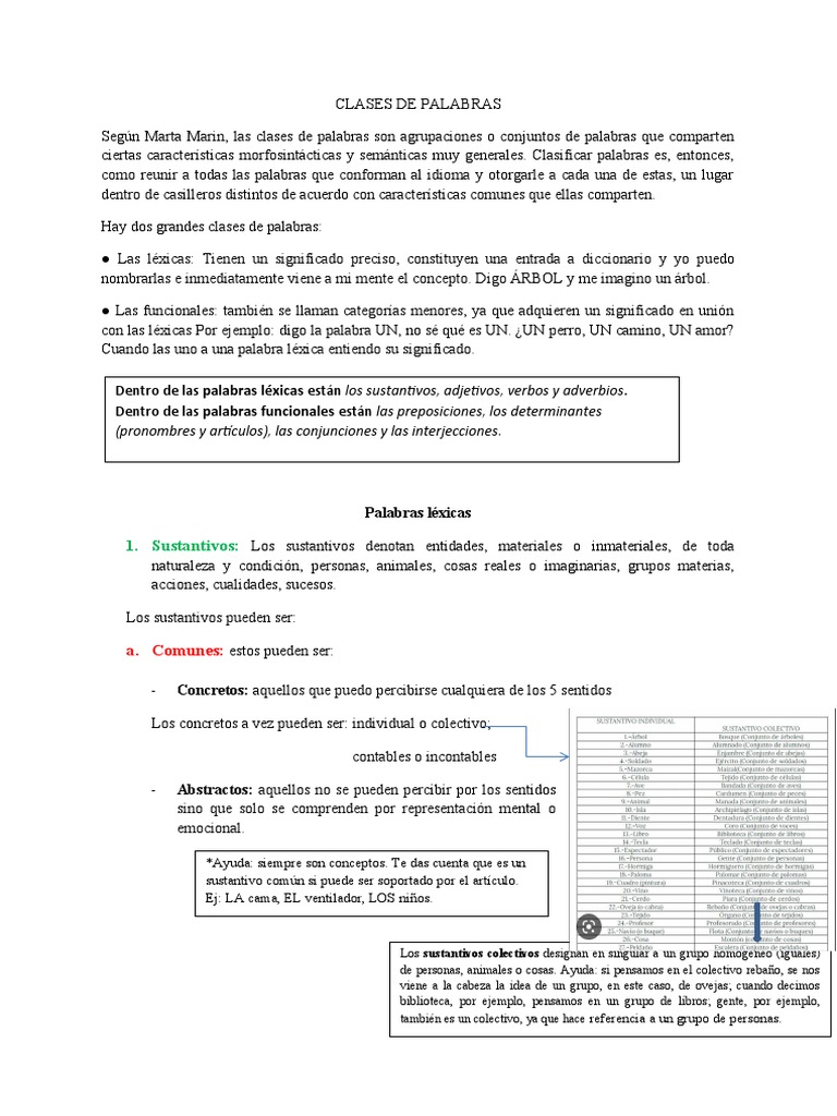 Clasificación de Palabras | PDF | Palabra | Sustantivo