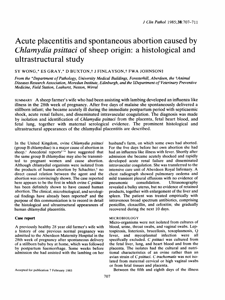 Placentitis Abortion Caused by Chlamydia Psittaci Origin: Histological ...