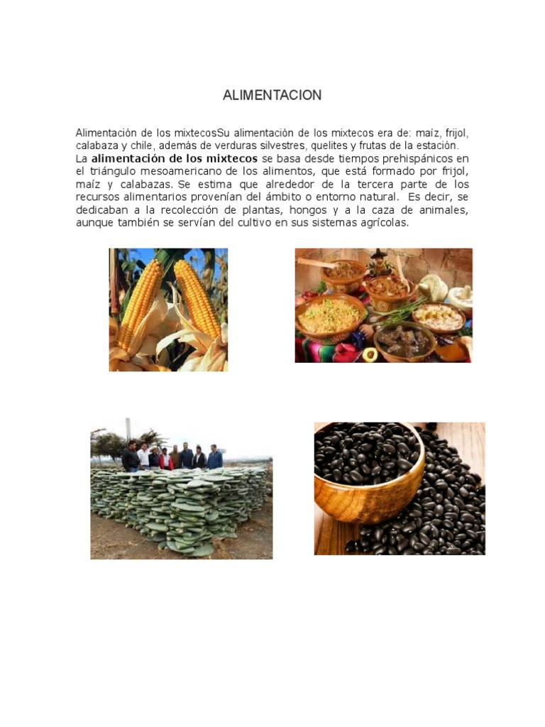 Alimentacion Mixteca | PDF