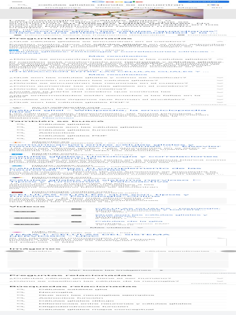 Celulas Gliales Donde Se Encuentran - Buscar Con Google | PDF | Astrocito | Biología Celular