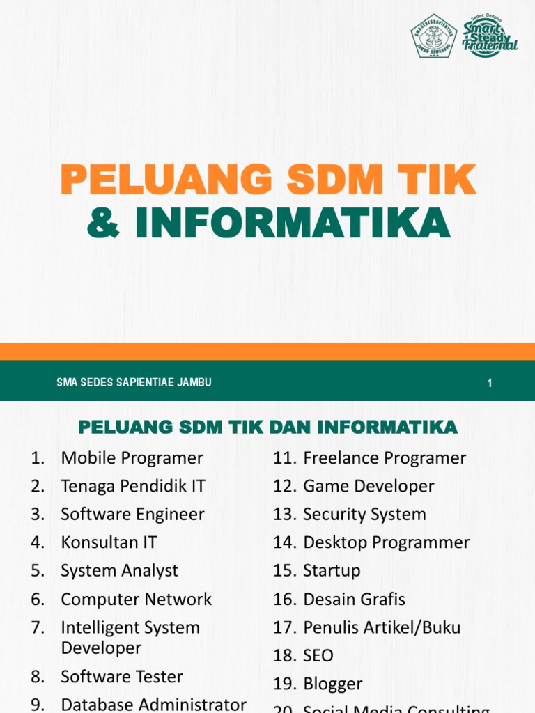SDM Tik Dan Informatika | PDF