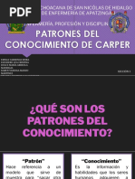 Patrones de Barbara Carper | PDF | Conocimiento | Enfermería