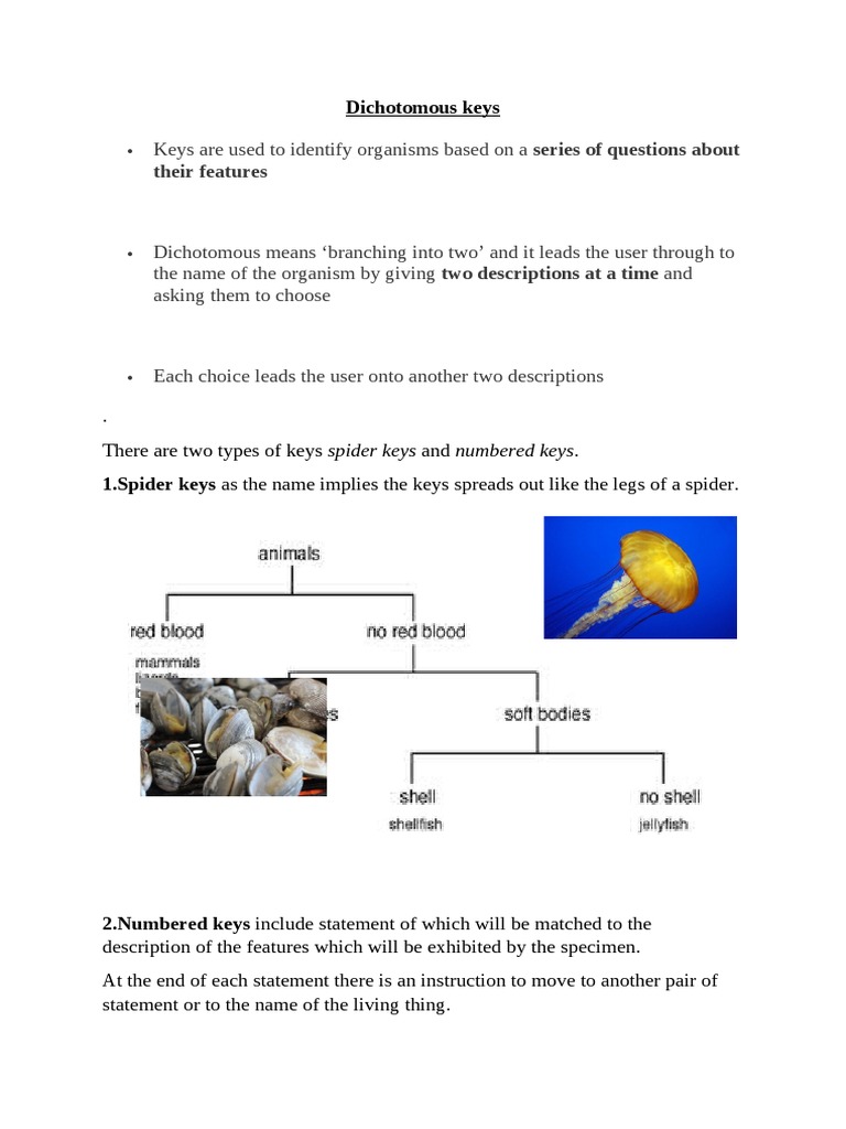Unit 3 Part 2 Pdf
