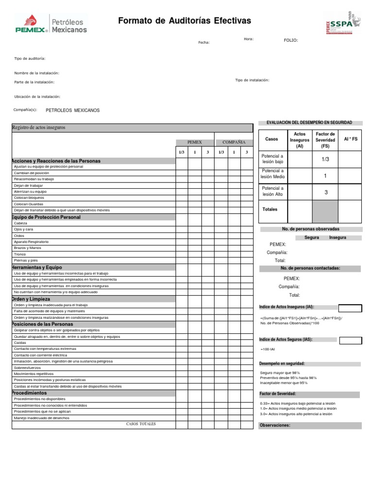 Formato Auditoria | PDF
