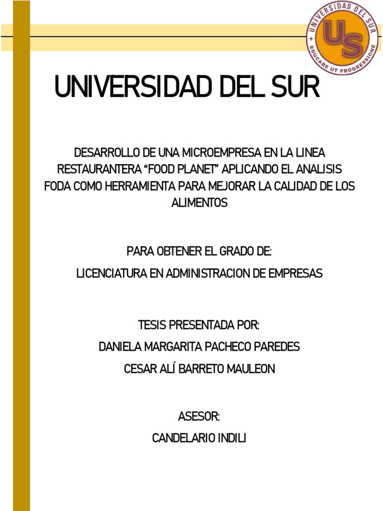 Tesis Terminada | PDF | Análisis FODA | Economias