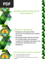 Animal Science Terms | PDF | Chicken | Cattle