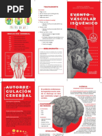 Fisiopatología Del Acv Isquémico | PDF | Carrera | Isquemia
