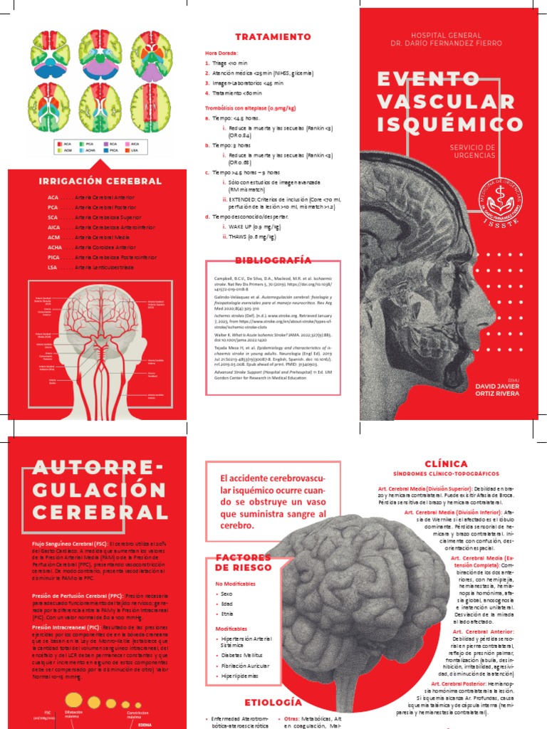 Triptico EVC Isquemico IMPRIMIR (5538) | PDF | Anatomia animal ...