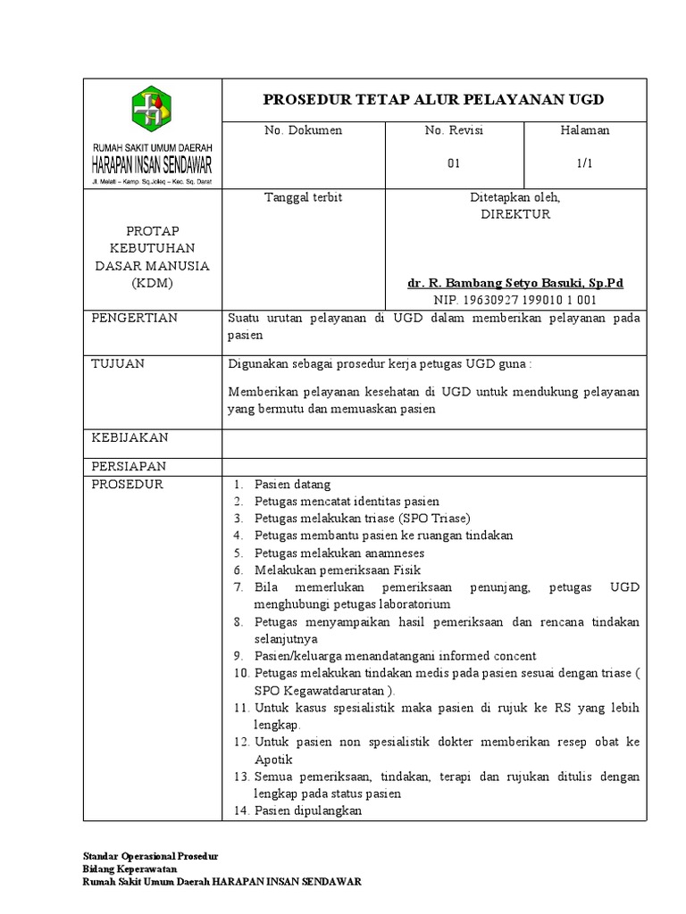 SOP Alur Pelayanan UGD | PDF