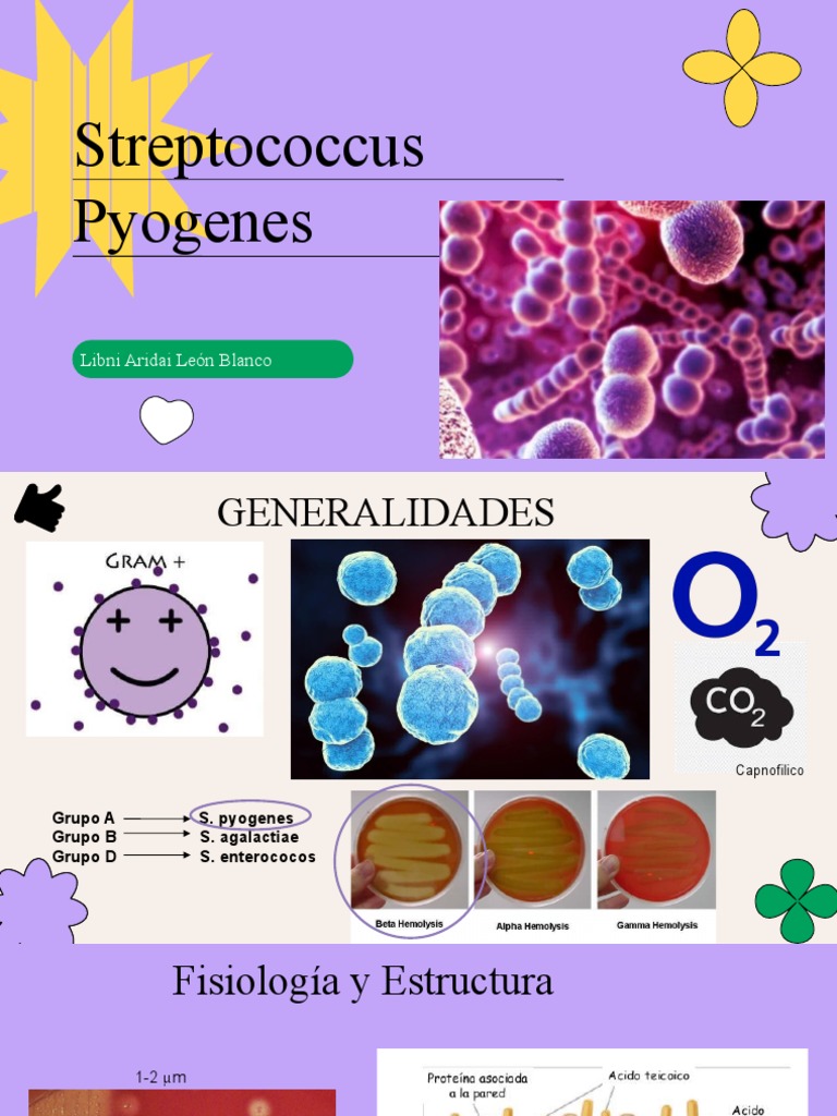 03 Streptococcus Pyogenes | PDF
