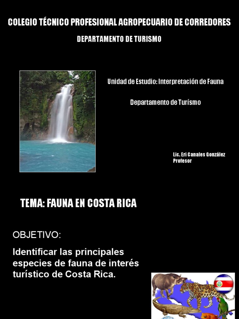 Animales de Costa Rica | PDF