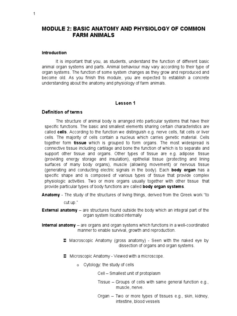 MODULE 2 Ansci 1 | PDF | Nervous System | Central Nervous System