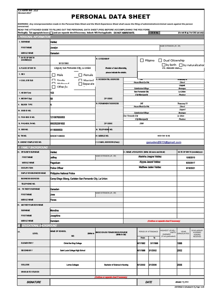 A Comprehensive Look into One's Background: An Analysis of Jonalyn ...