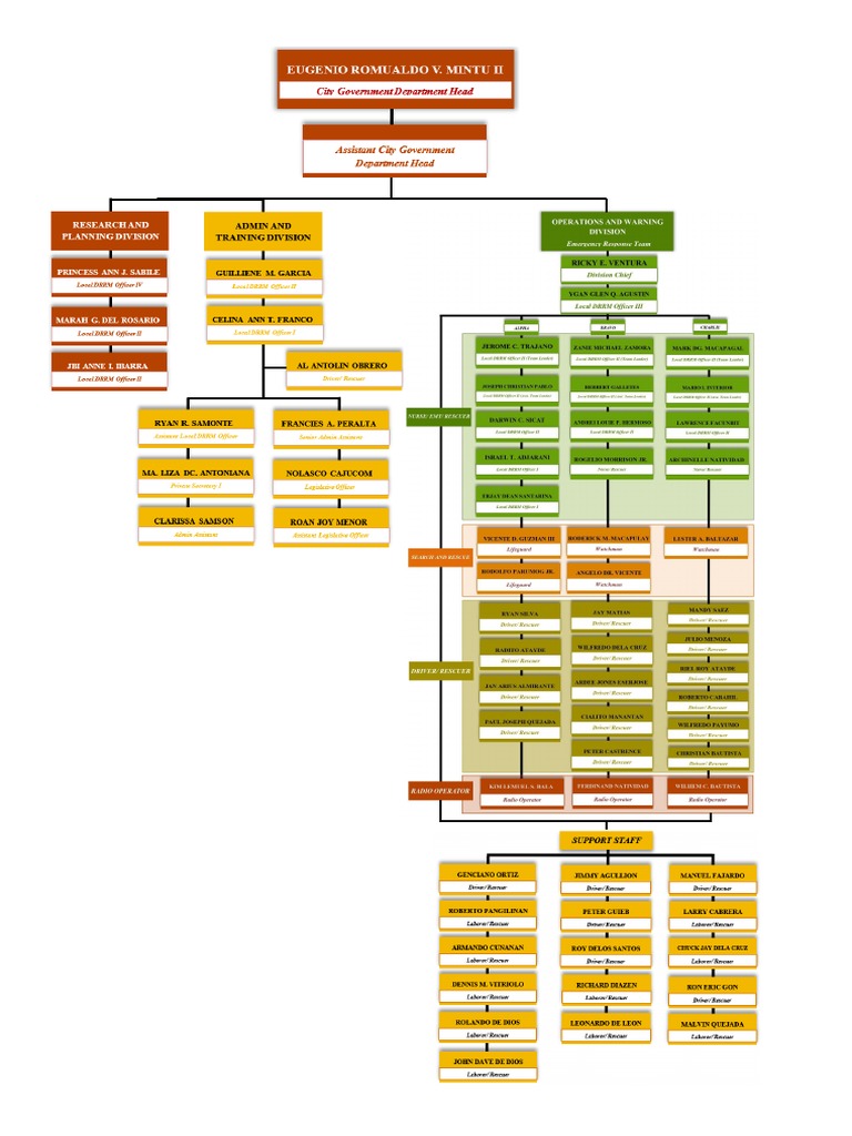 Org Chart Cdrrmo | PDF