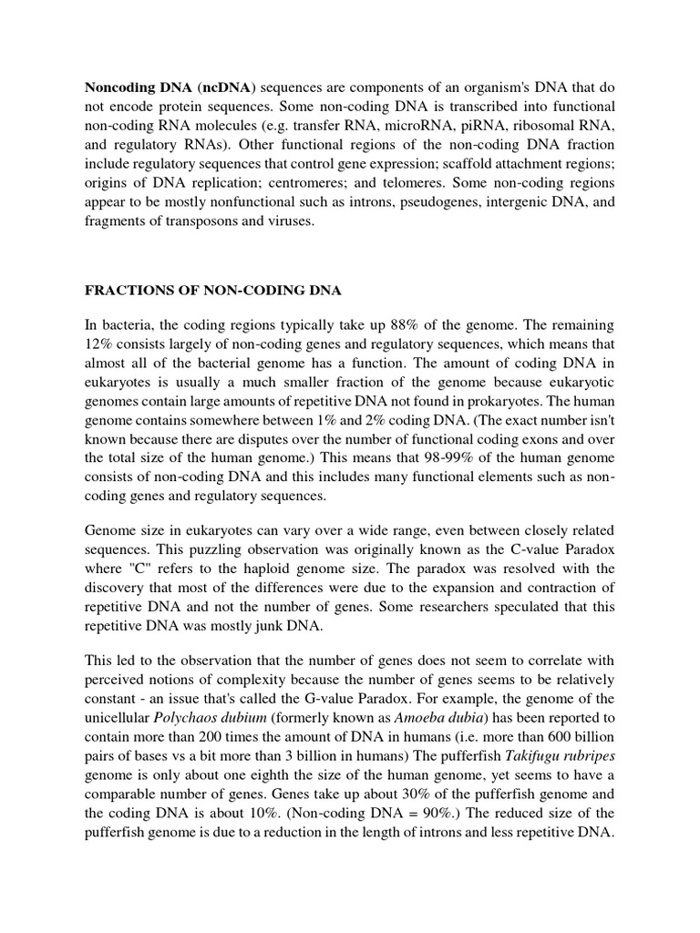 Non Coding Dna Functions And Fractions Pdf Genome Gene