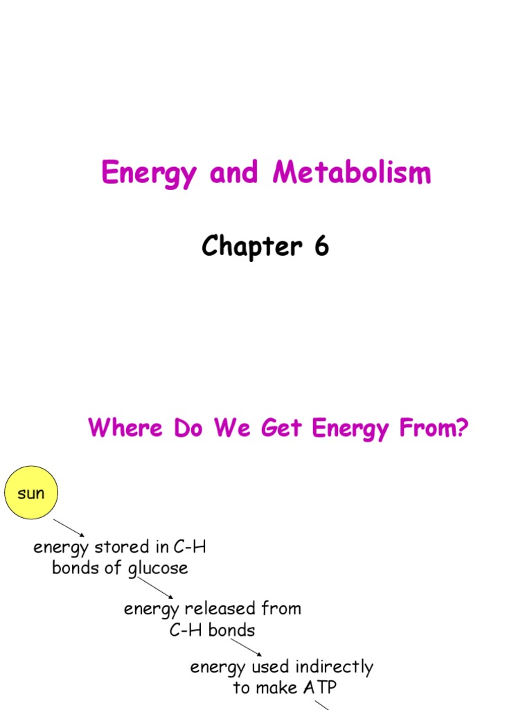 Chapter 6 BIO 1510 | PDF | Enzyme | Metabolism