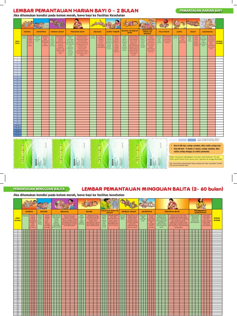 Pemantauan Harian Bayi 0-2 Bulan | PDF