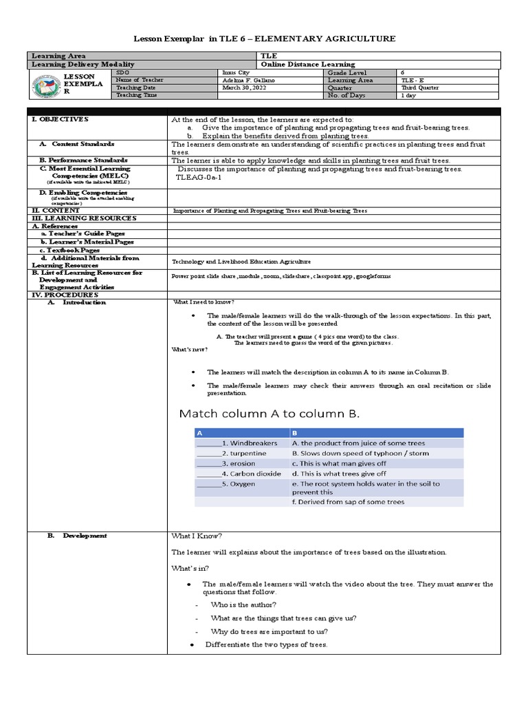 LE FOR Cot | PDF | Trees | Learning