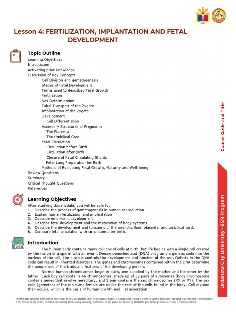 Lesson 4 Fertilization, Implantation and Fetal Development | PDF ...