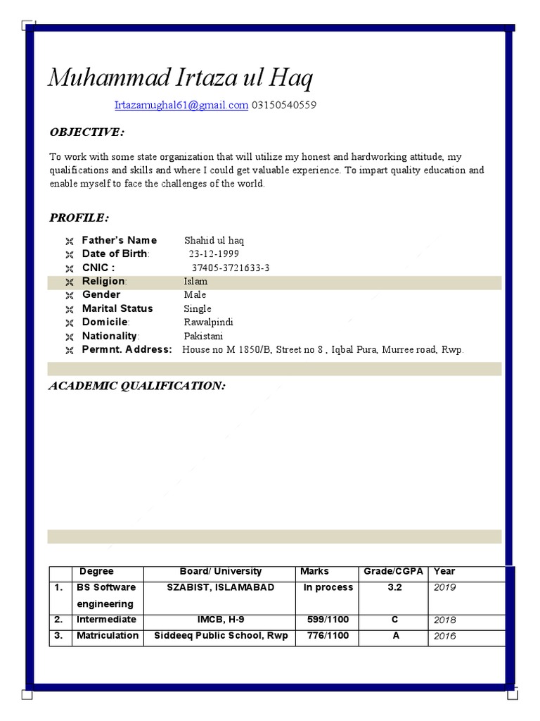 Muhammad Irtaza Ul Haq (CV) - 1 | PDF