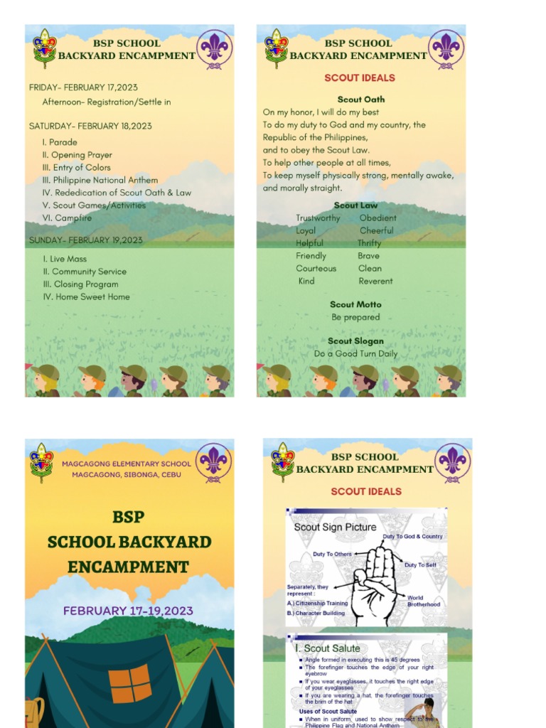 BSP Programme | PDF
