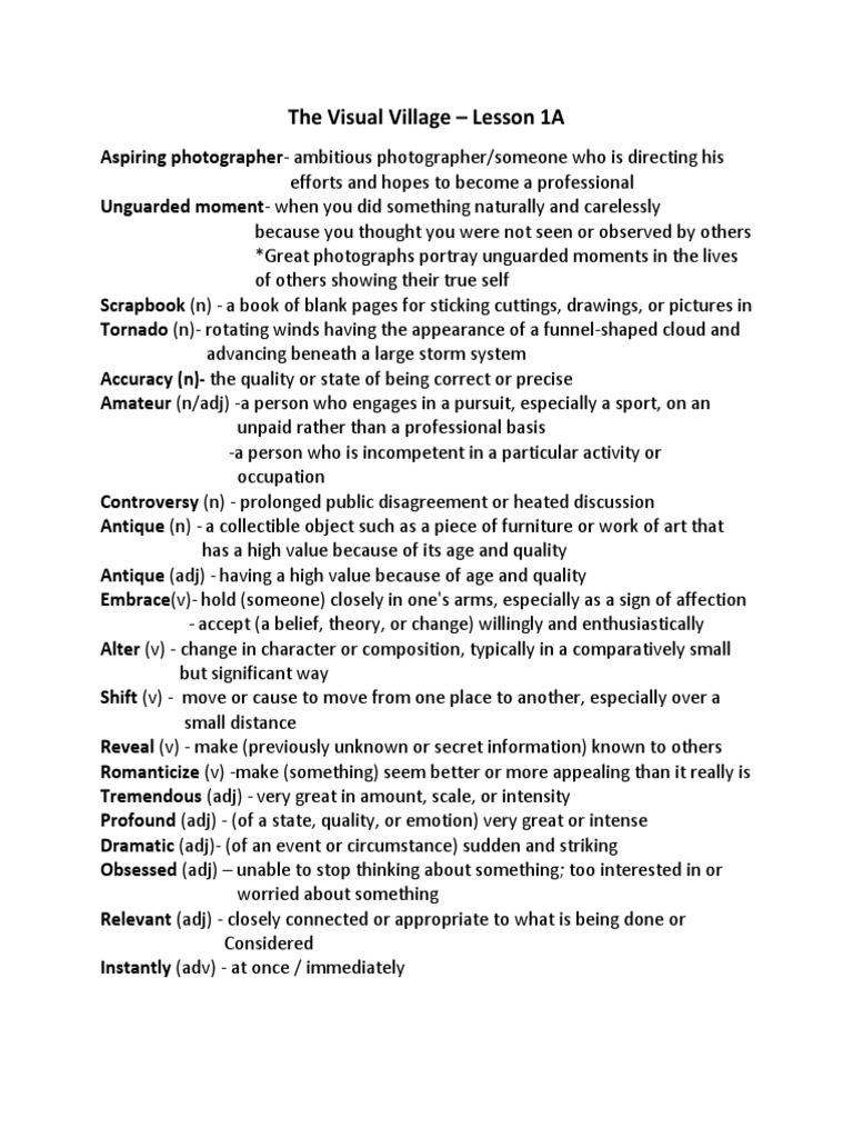 Lesson 1 A The Visual Village | PDF | Social Science