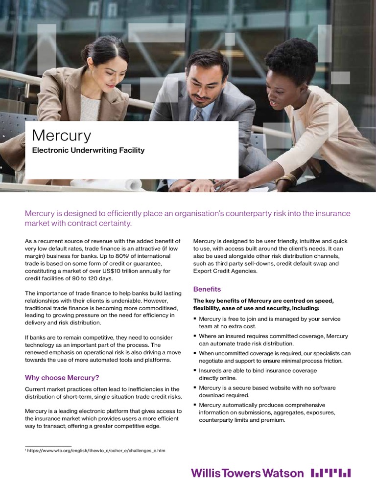 Mercury Platform | PDF | Insurance | Risk
