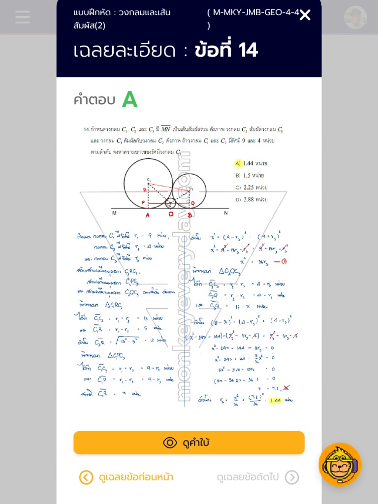 Monkey Everyday | PDF