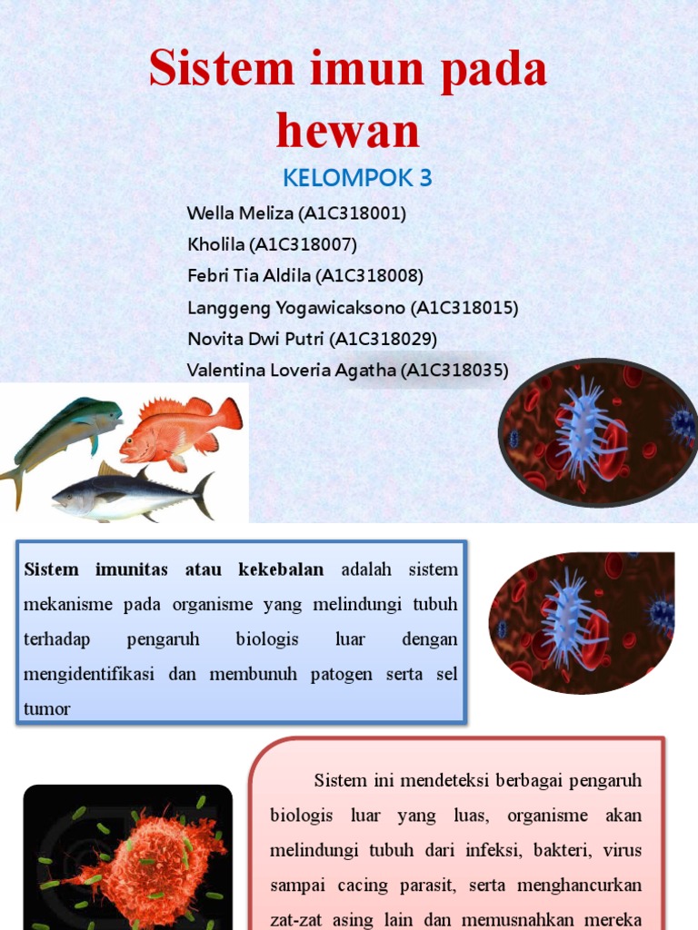 Sistem Imun Hewan | PDF