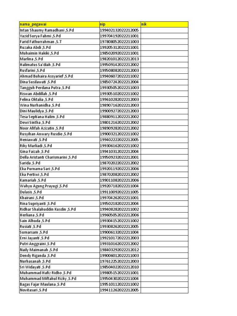 Format Data SIPD - P3K | PDF